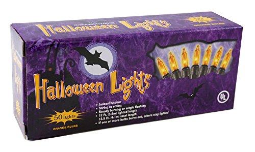 Mini Lights Orange Indoor/outdoor 50 Lights – The Country Christmas Loft